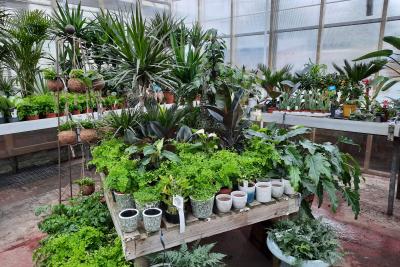 Vertigrow Plant Nursery York | Gardening & Landscaping Supplies