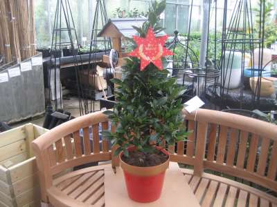 Vertigrow Plant Nursery York | Gardening & Landscaping Supplies